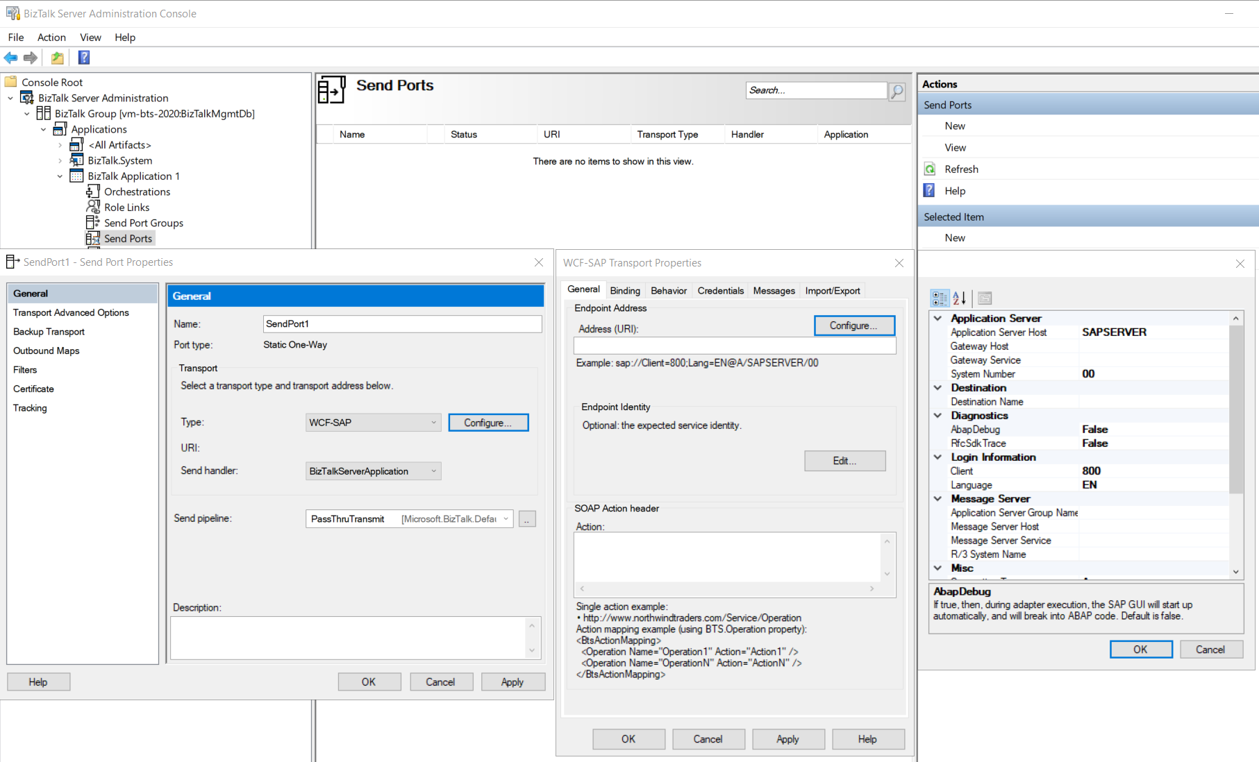 BizTalk & SAP (WCF-SAP / SAP Nco) — DATA Passion GmbH
